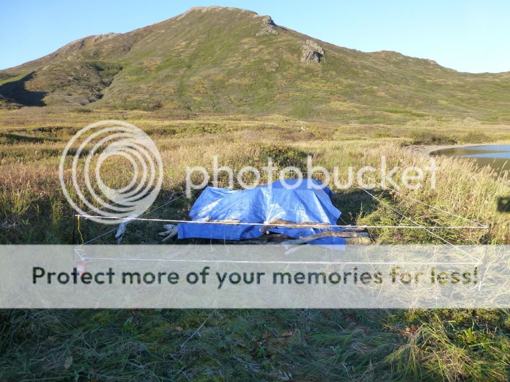 Meat Field Care | Hunt Talk