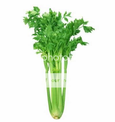 apio (Venezuela) | WordReference Forums